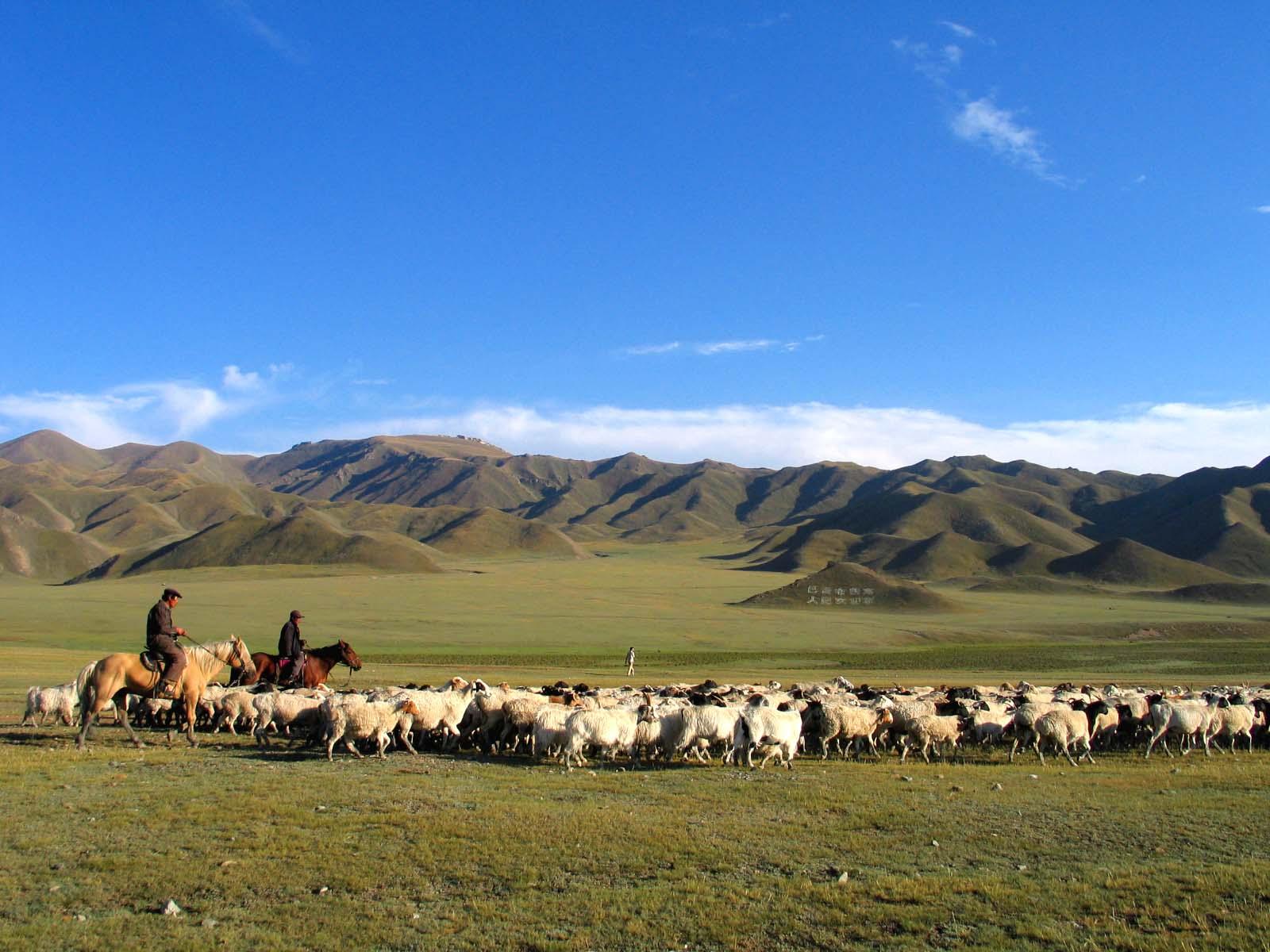 Tibetan Nomads – Tibet 3rd Pole